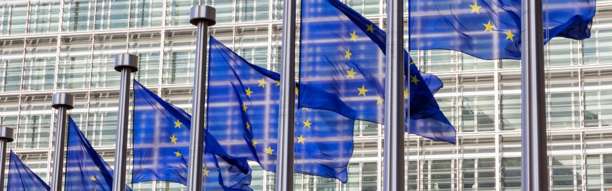 EU ETS: What is it and why is it changing? - ClimateTrade